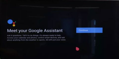 Turn Off Audio Description & Google Assistant on LG TV