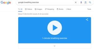 List of 90+ Google Easter Eggs to Try in 2025 - Technastic