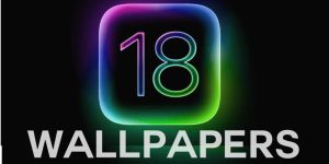 Download All Samsung Galaxy S25 Wallpapers (4K) - Technastic